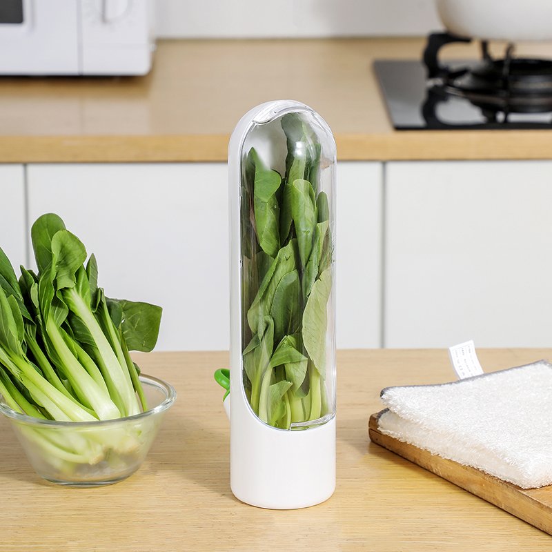 Vegetable Storage - Buy Best Herb Storage Container Online