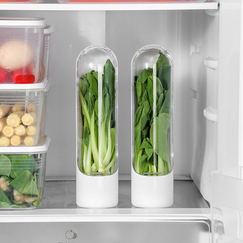 Vegetable Storage - Buy Best Herb Storage Container Online